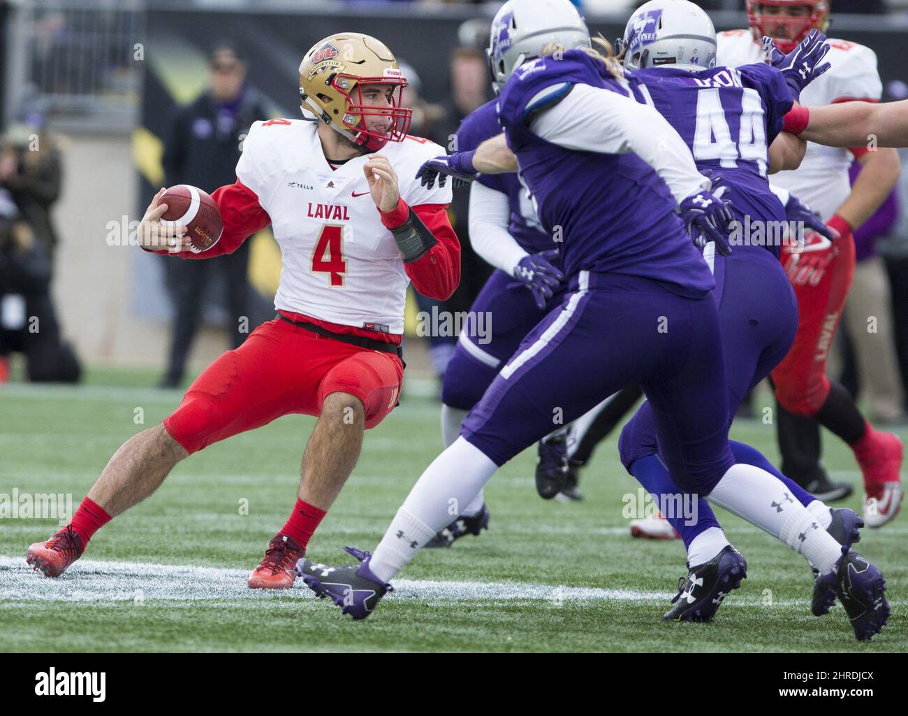 Laval Rouge et Or quarterback Hugo Richard (4) steps back to throw ...