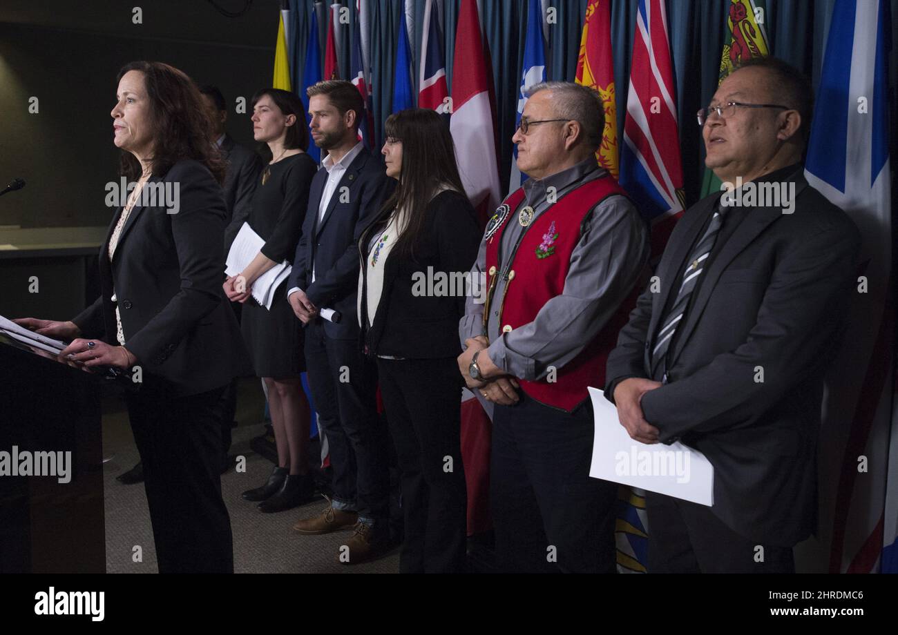 Lawyer Margaret Rosling (left) speaks as Yukon Conservation Society's ...