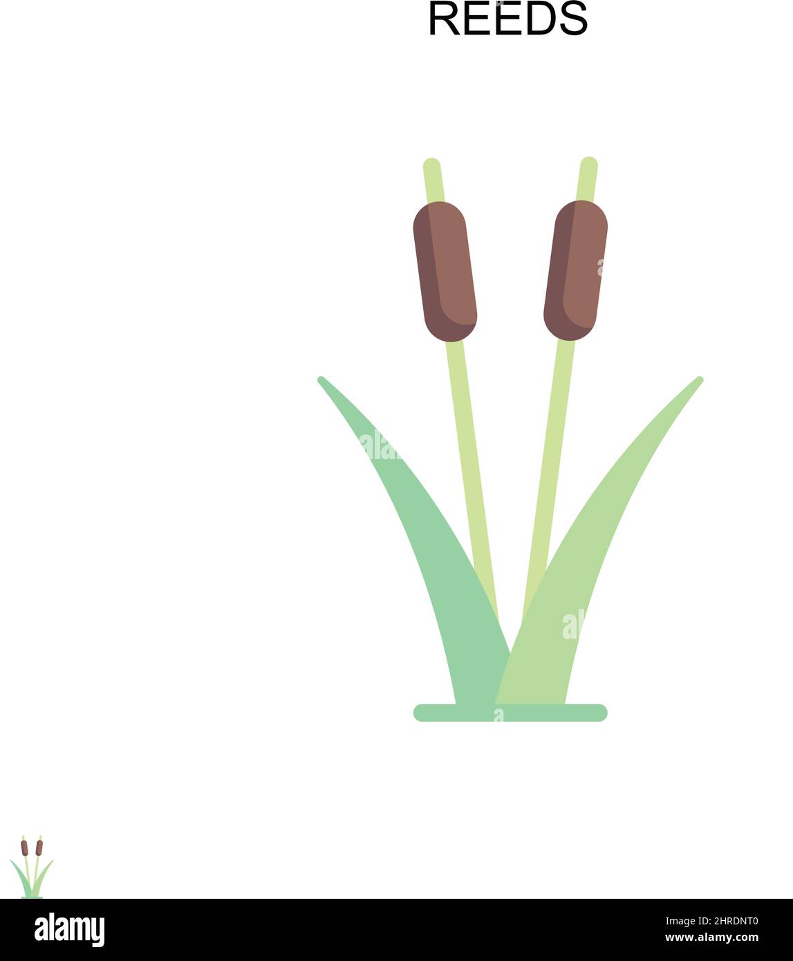 Pampas environment Stock Vector Images - Alamy