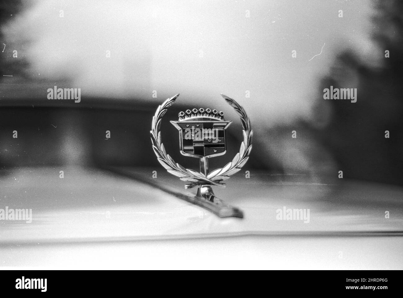 Grayscale shot of Cadillac logo Stock Photo - Alamy