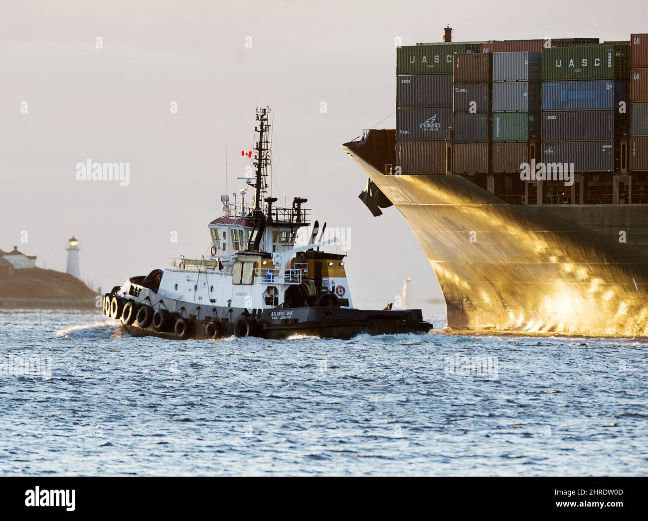The tug boat Atlantic Oak leads the container ship YM Modesty as it heads out from Halifax on ...