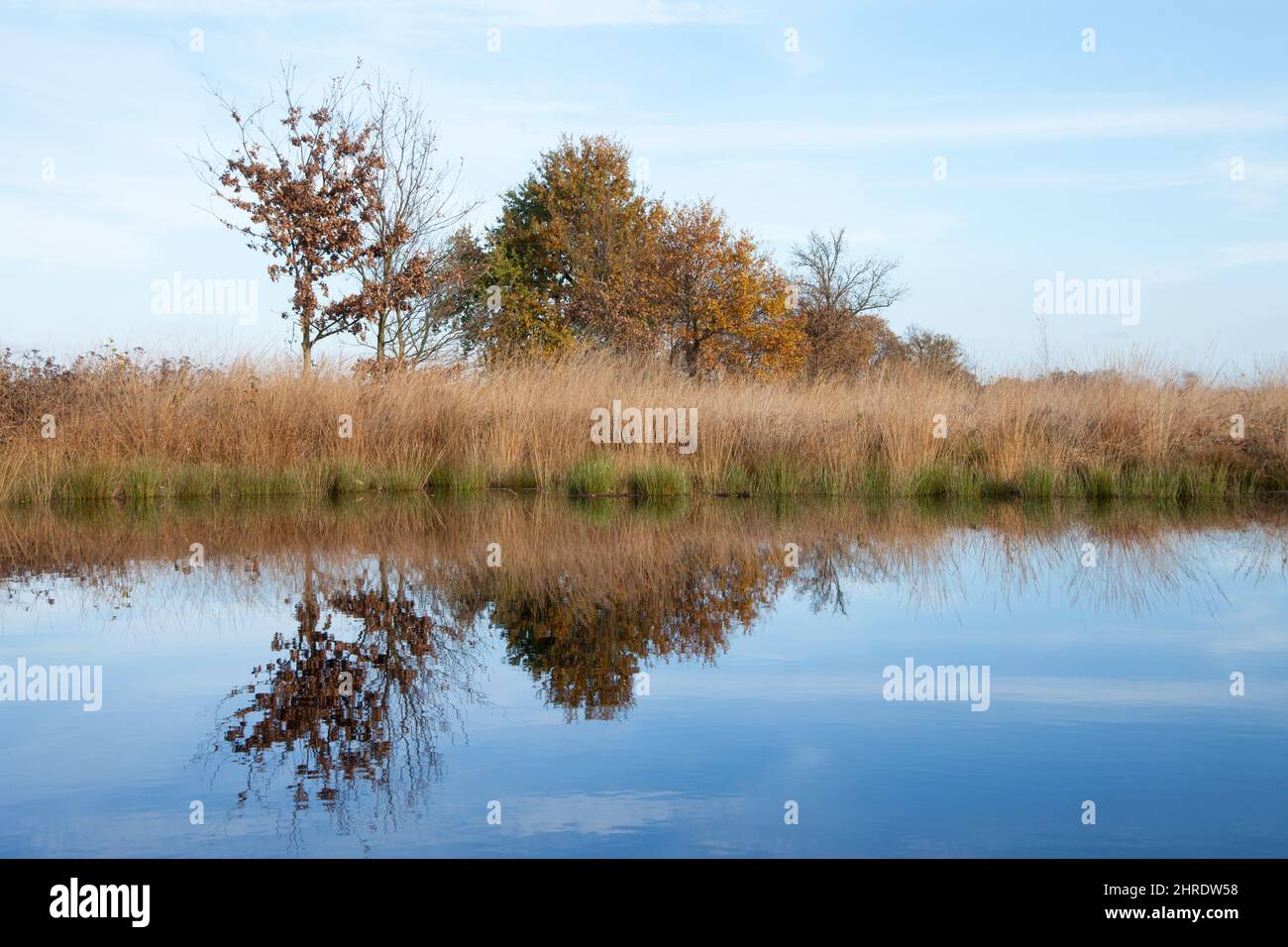 Scenic view of a lake reflecting the blue cloudy sky above a dried ...