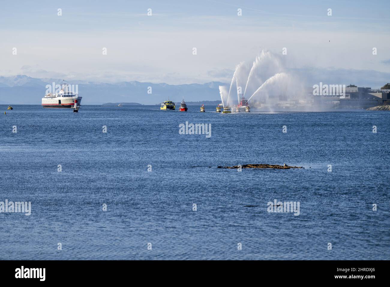 Beautiful view of Coho Ferry Victoria Harbour Welcome with skyline ...