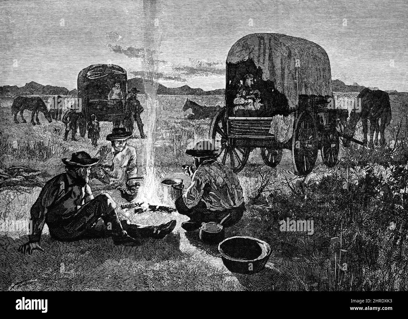 Conestoga wagon 1880s hi-res stock photography and images - Alamy