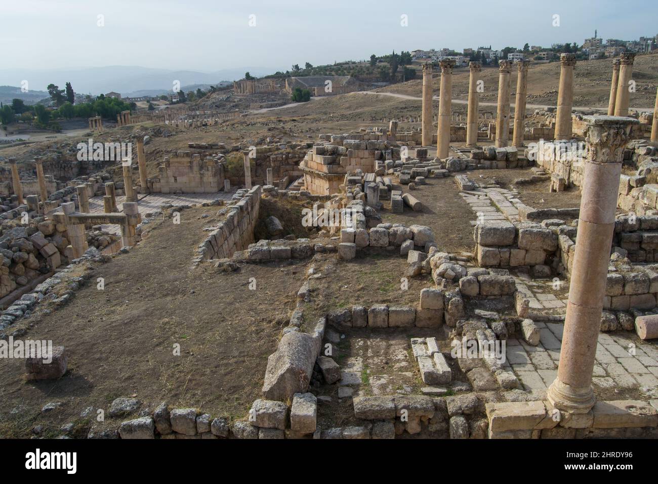 Columns of the cardo Maximus, Ancient Roman city of Gerasa of Antiquity ...