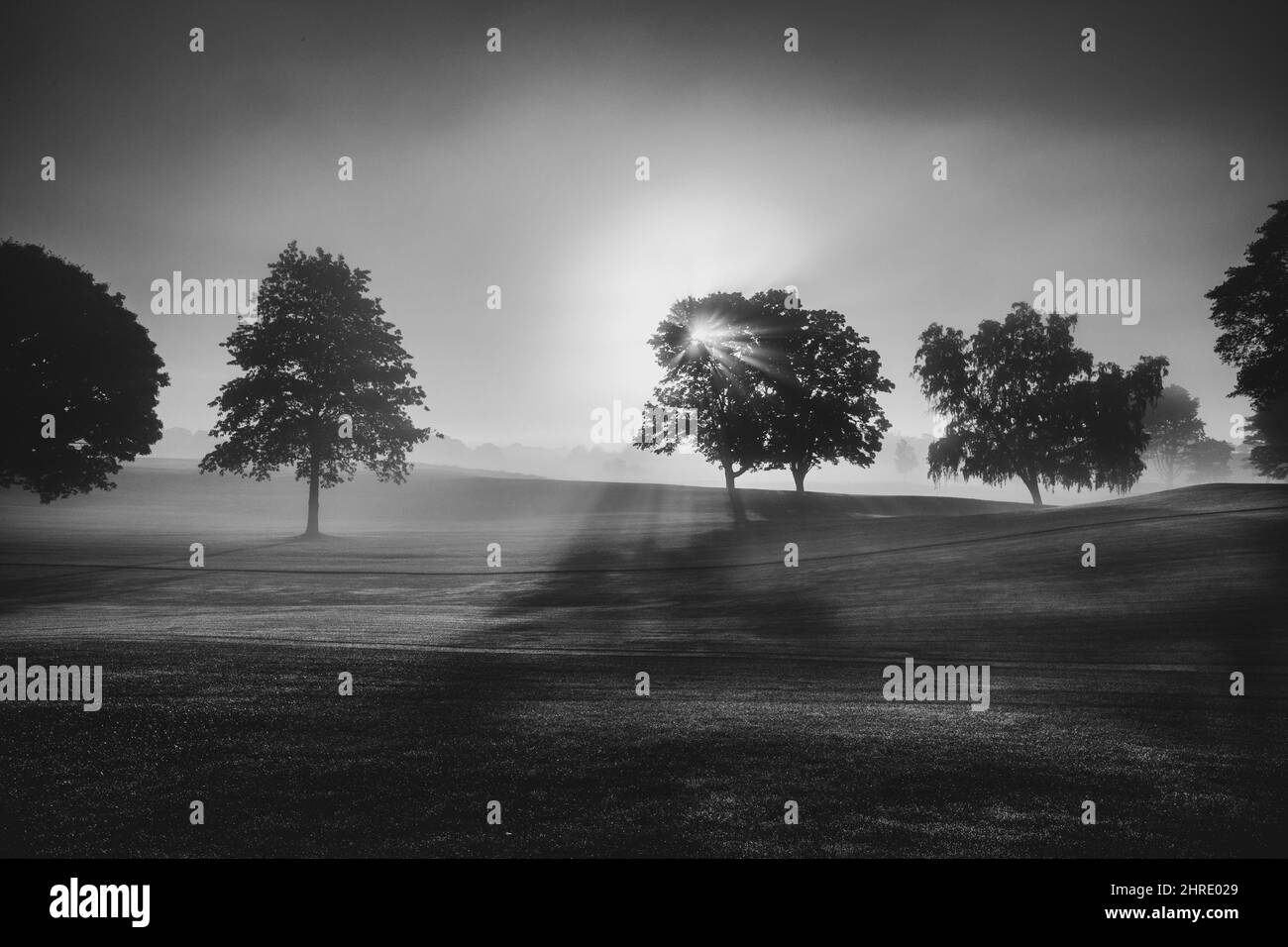 Crop view Black and White Stock Photos & Images - Alamy