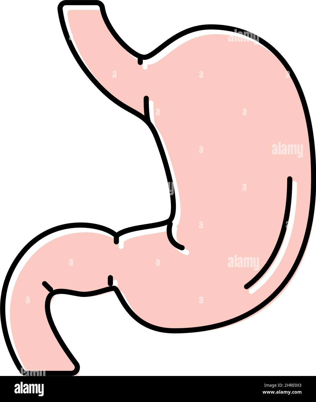 stomach human organ color icon vector illustration Stock Vector Image ...