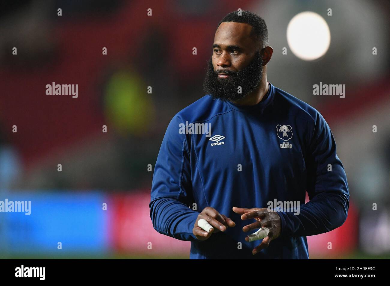 Wasps semi radradra hi-res stock photography and images - Alamy