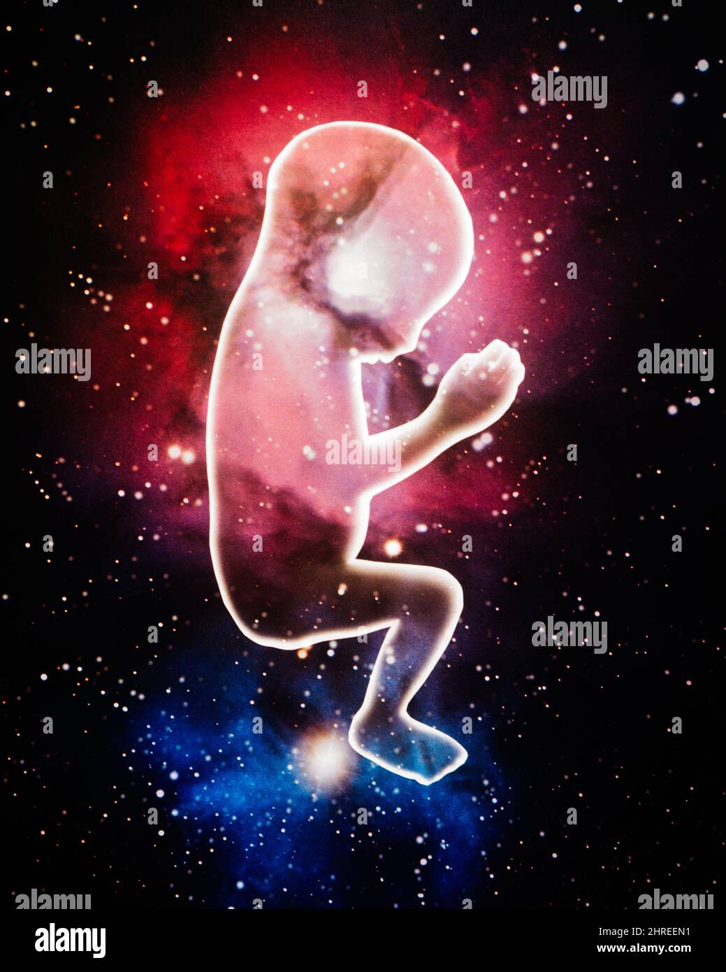 1980s stars hi-res stock photography and images - Alamy