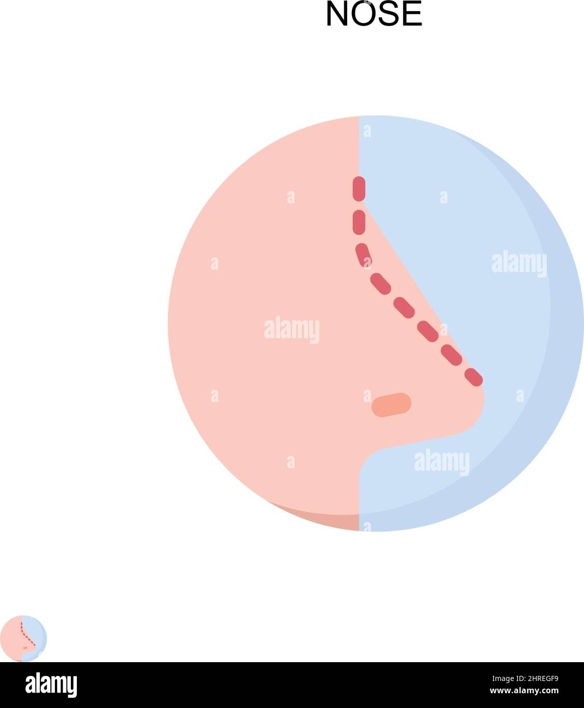 Nose Simple vector icon. Illustration symbol design template for web ...