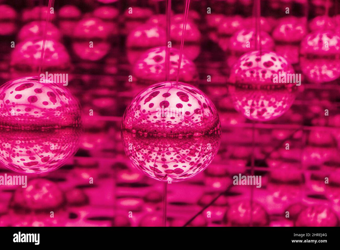 A section of Yayoi Kusama's "Dots Obsession Love Transformed into Dots ...