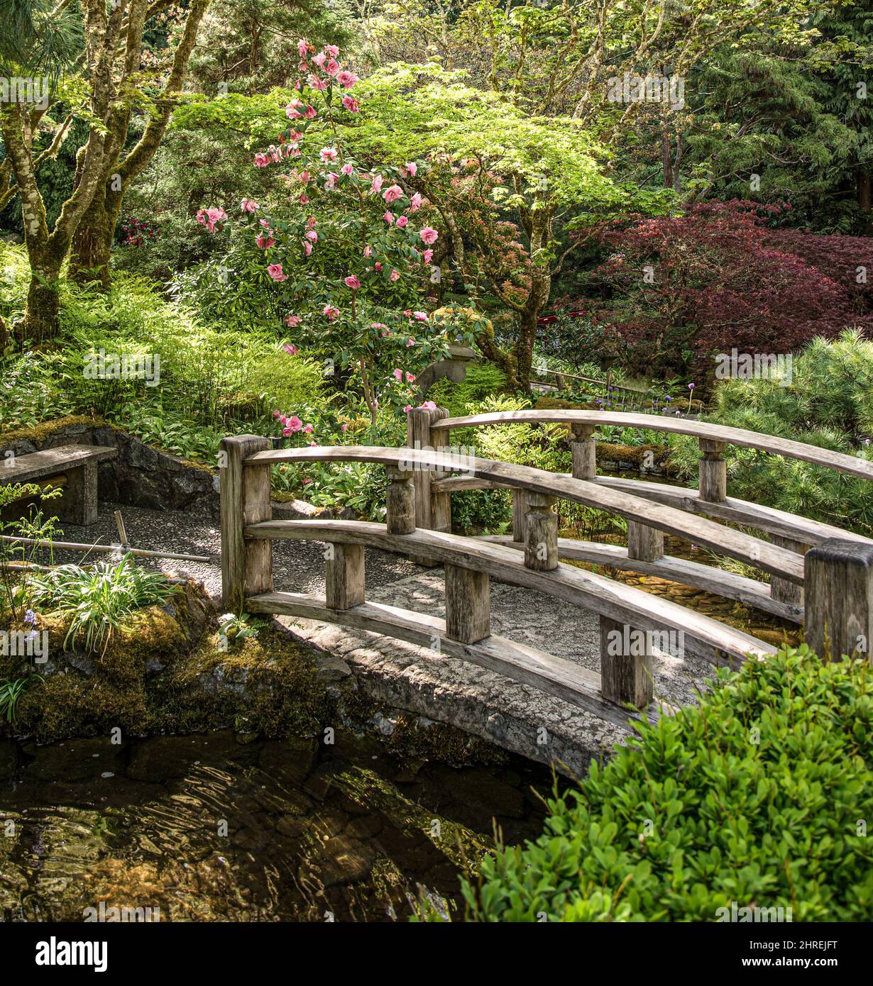 Japanese Garden with bridge Stock Photo - Alamy