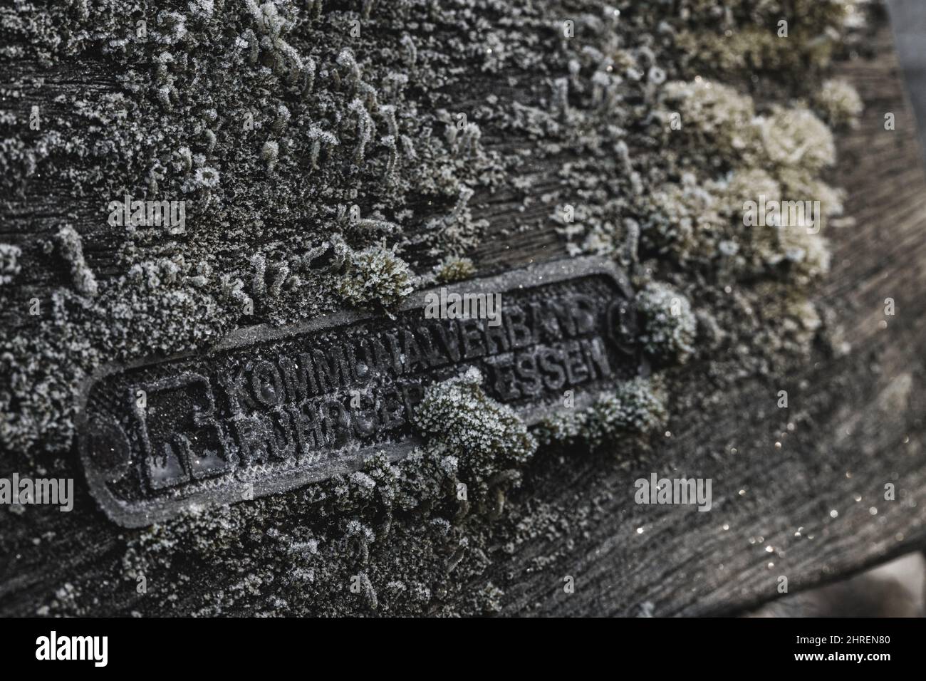 Old oak bench backrest with iron emblem Stock Photo - Alamy