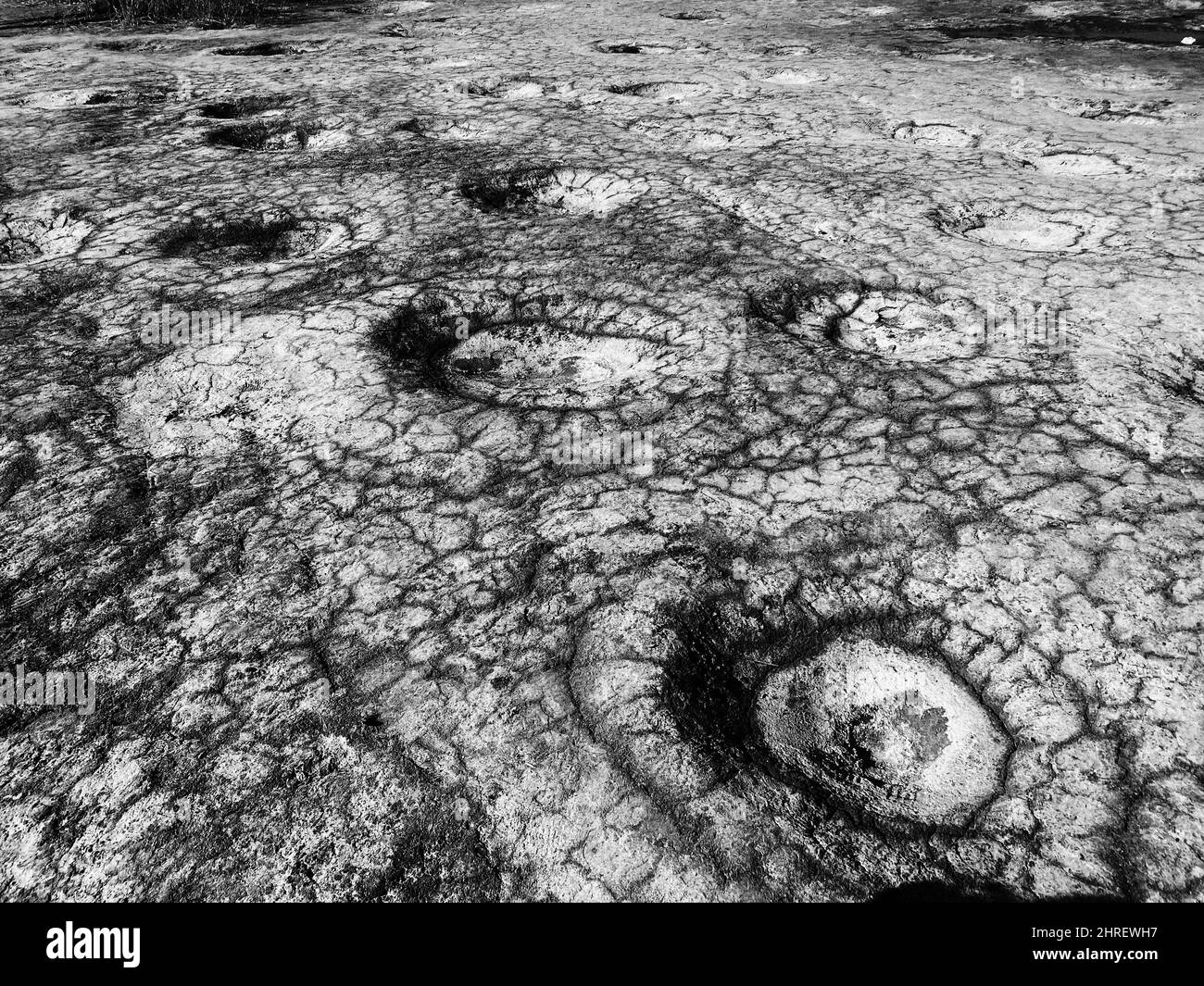Grayscale of dried and cracked mud volcanos Stock Photo - Alamy