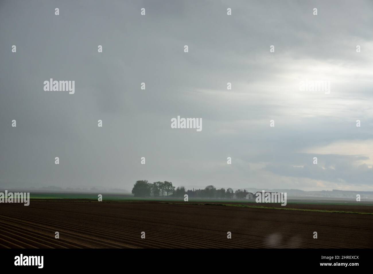 Field with trees with a cloudy dark sky Stock Photo - Alamy