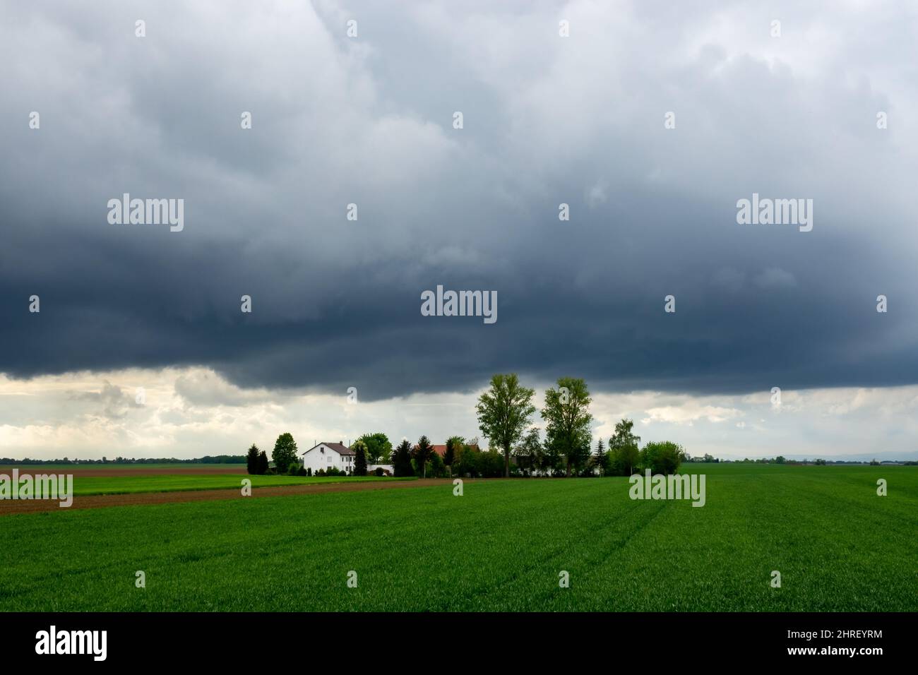 Vast field with few trees and a dark cloudy sky over it Stock Photo - Alamy