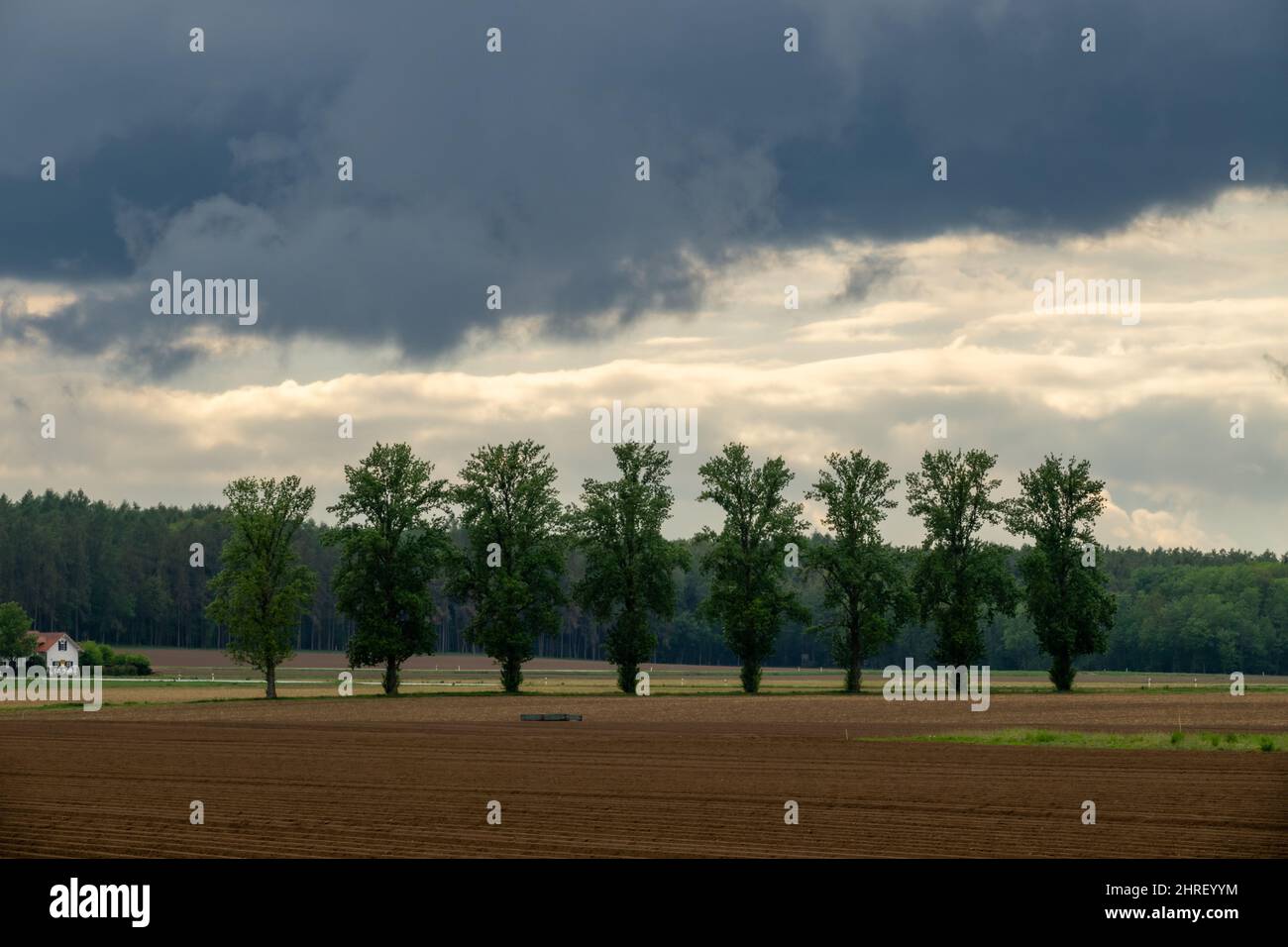 Field with trees with a cloudy dark sky Stock Photo - Alamy