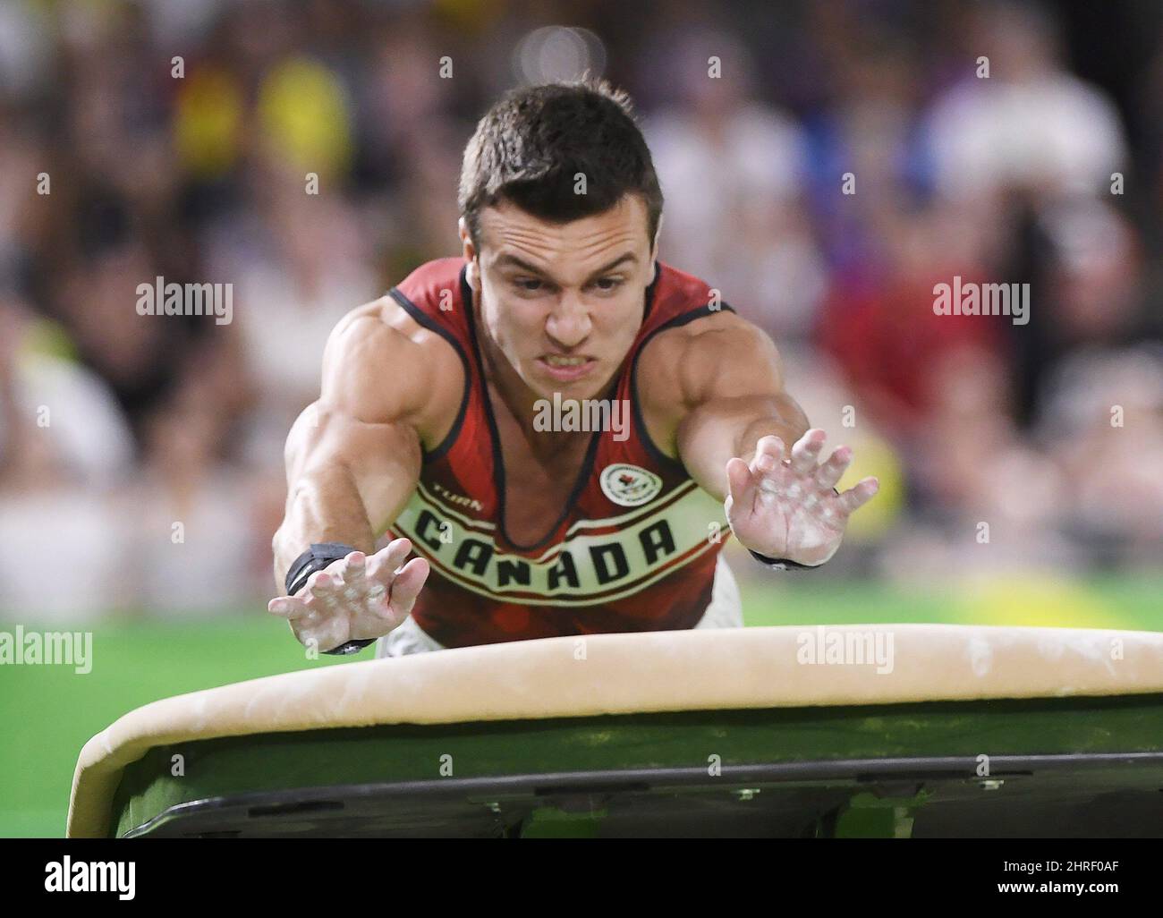 Canada's Rene Cournoyer competes in the men's vault final in the ...