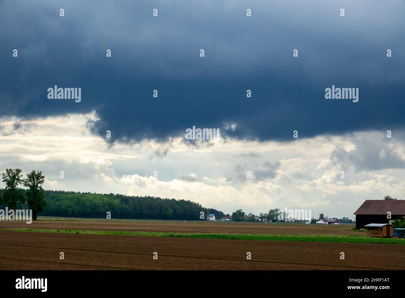 Vast field few trees hi-res stock photography and images - Alamy