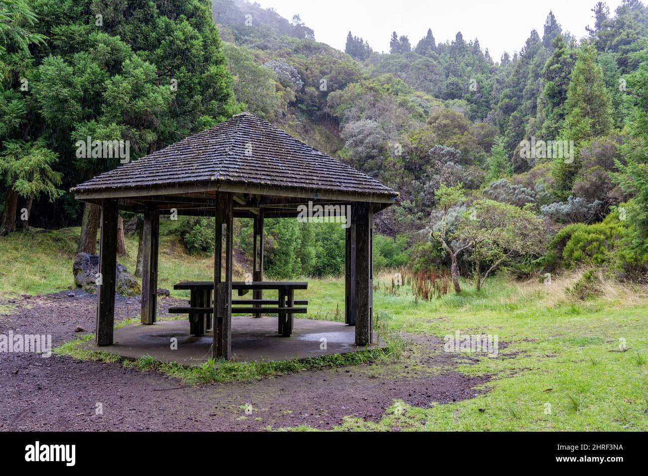 Wooden shelter with a bench and table in wilderness Stock Photo - Alamy