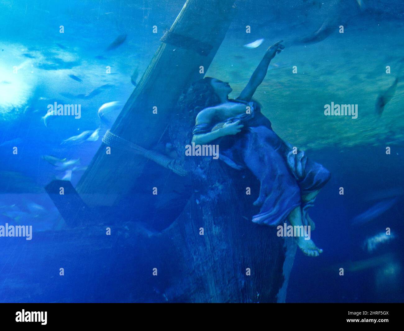 Figurehead floating in mystical water. The sun shines from the side ...