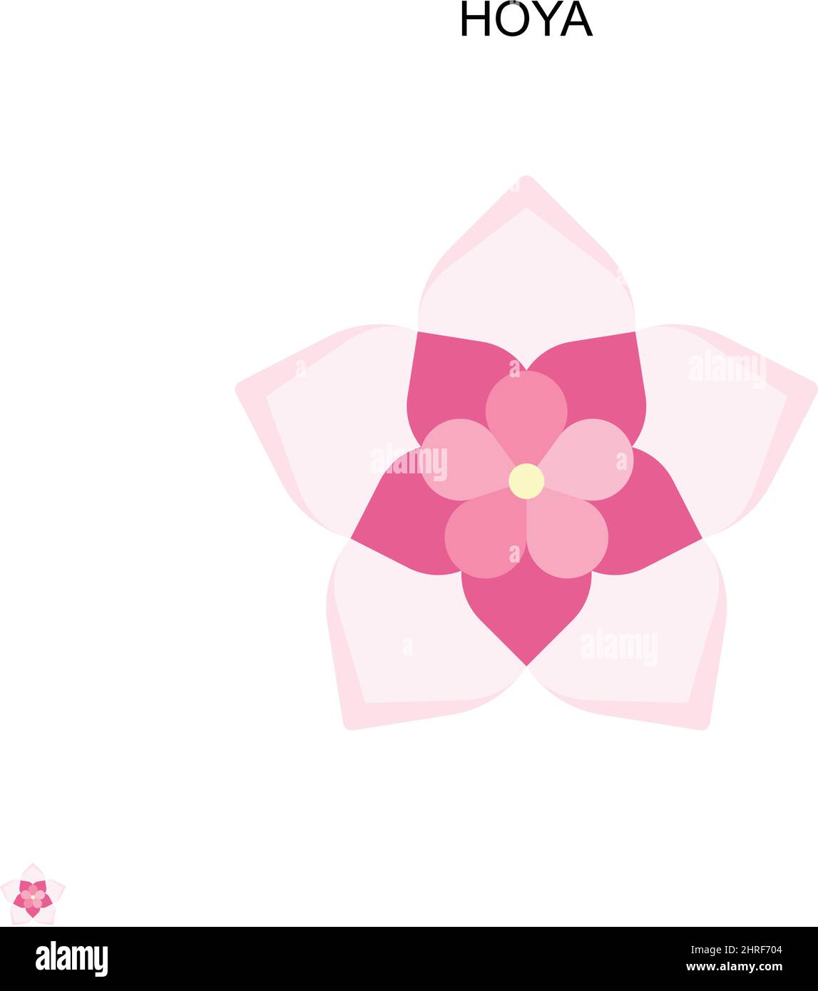 Hoya carnosa Stock Vector Images - Alamy