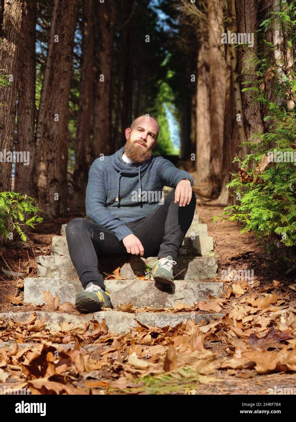 Shallow focus of a bearded bald man sitting on park steps lined with ...