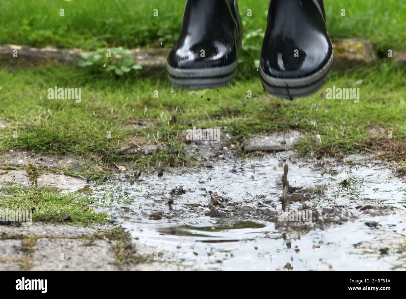 Closeup of black rubber boots jumping inside a muddy puddle among green ...
