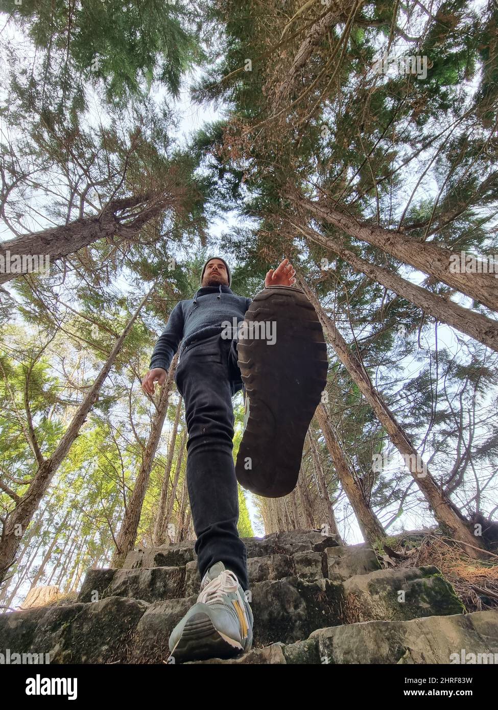 Vertical low-angle shot of the young man walking in the park Stock ...