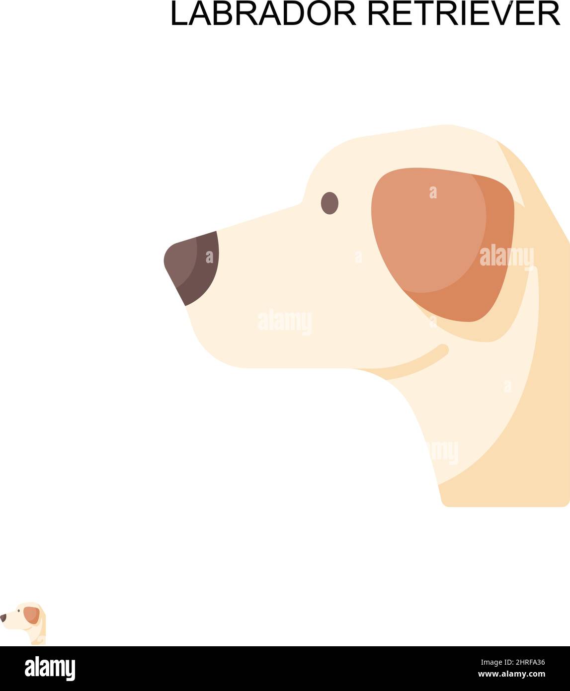 Brown chocolate labrador retriever dog Stock Vector Images - Alamy