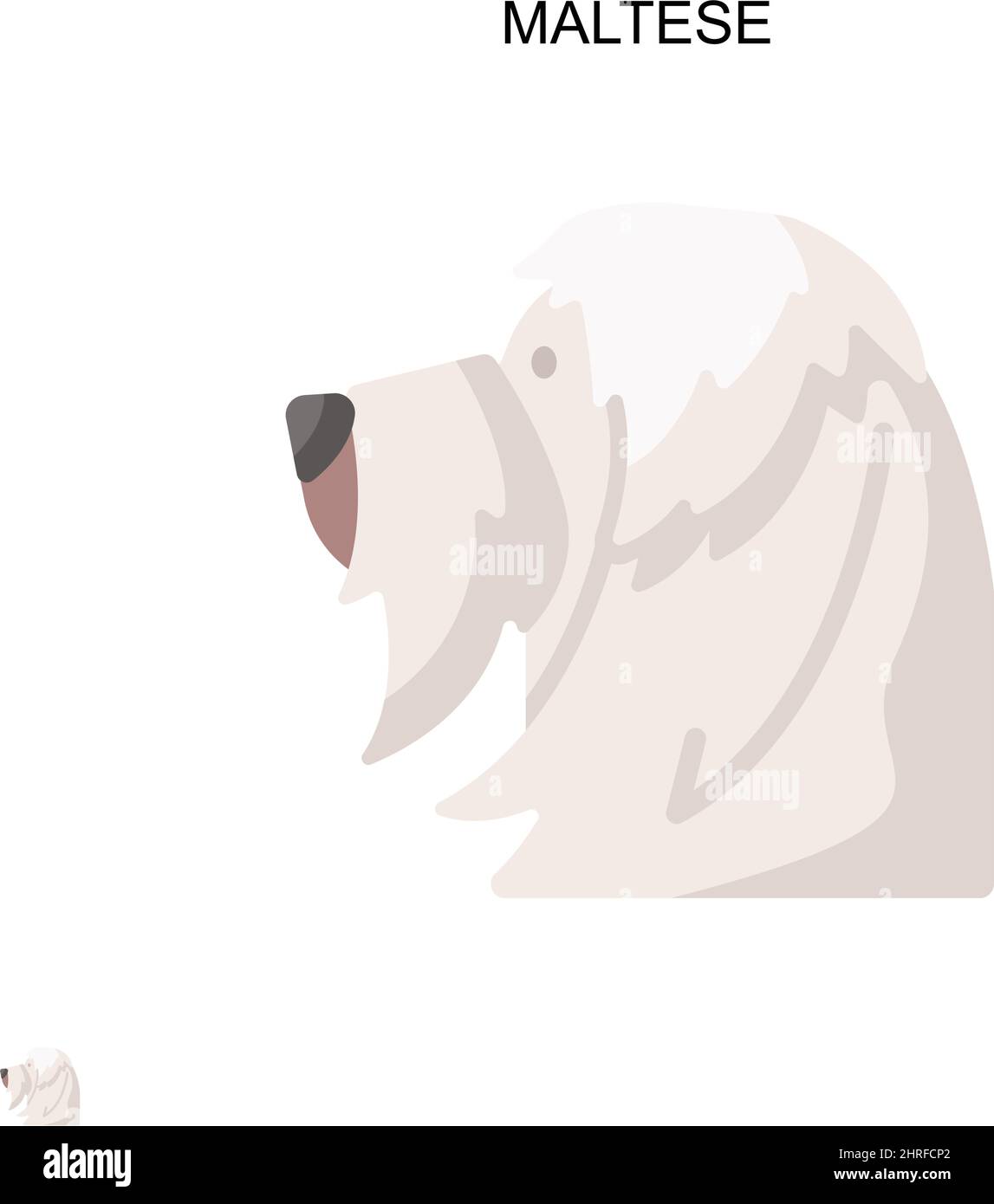 Maltese Simple vector icon. Illustration symbol design template for web ...