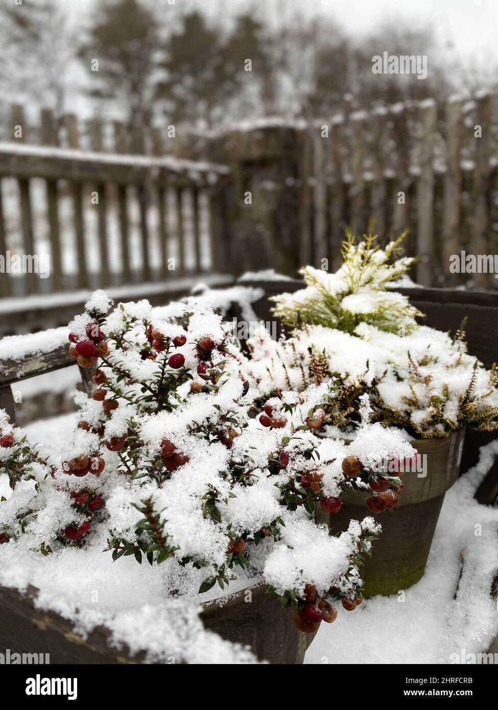Garden pots outdoors hi-res stock photography and images - Alamy