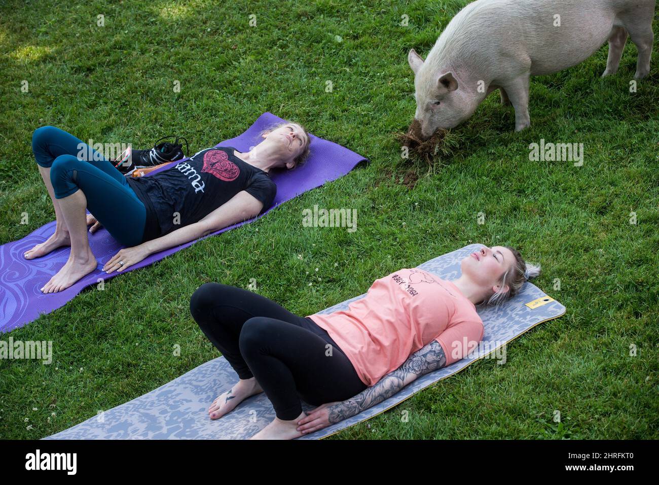 Tania Whelan, left, and Karilee Ennis participate in a yoga session ...