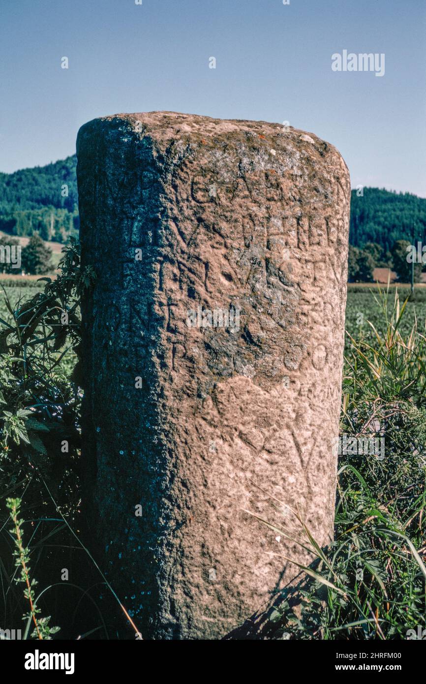 Claudium Virunum - Roman city ruins in the province of Noricum, on the ...