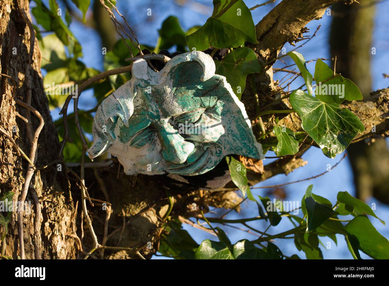 Green man plaster image in an oak tree at Silchester or Calleva ...