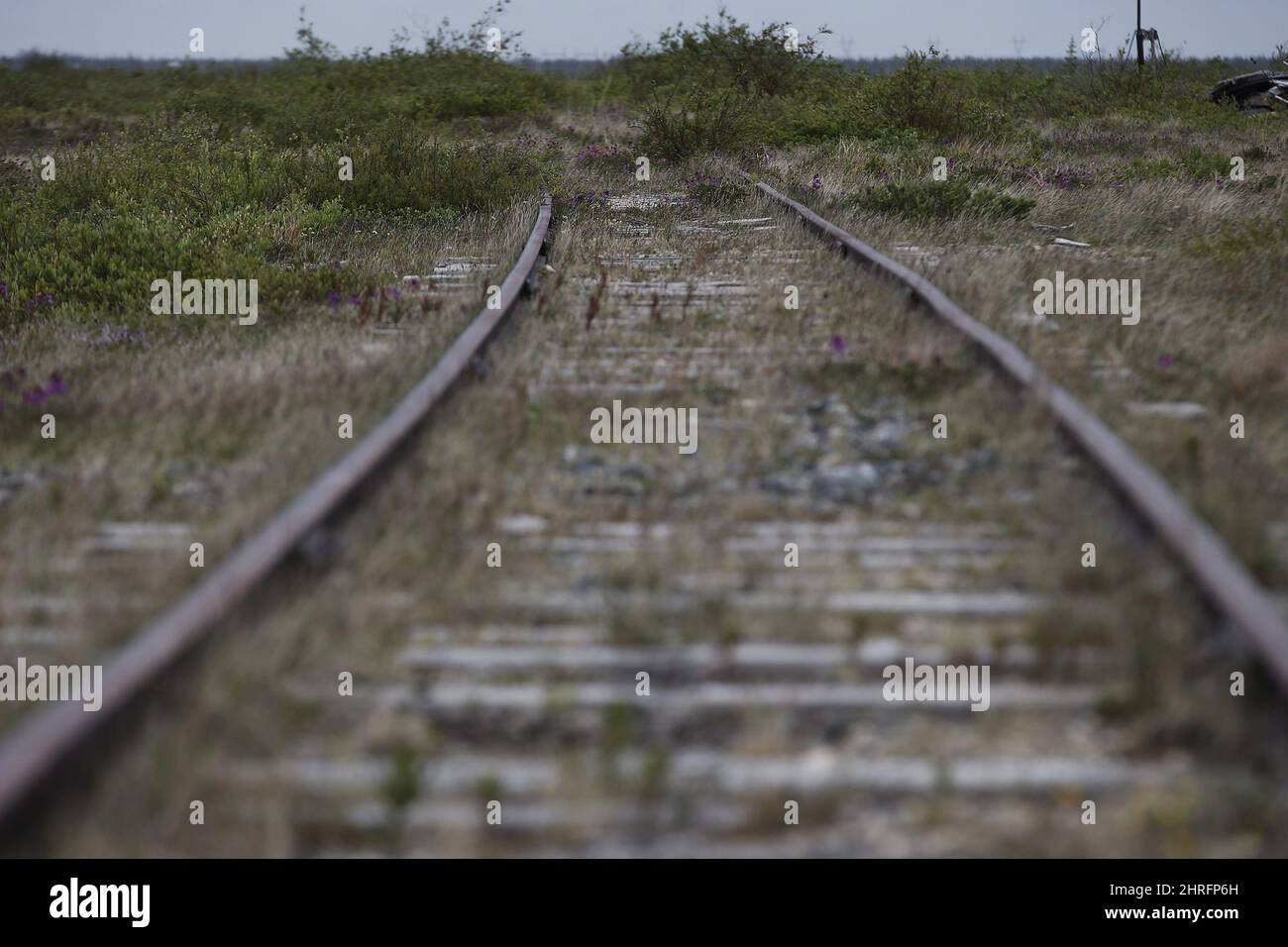 The closed rail line to Thompson in Churchill, Manitoba, Monday, July 2 ...