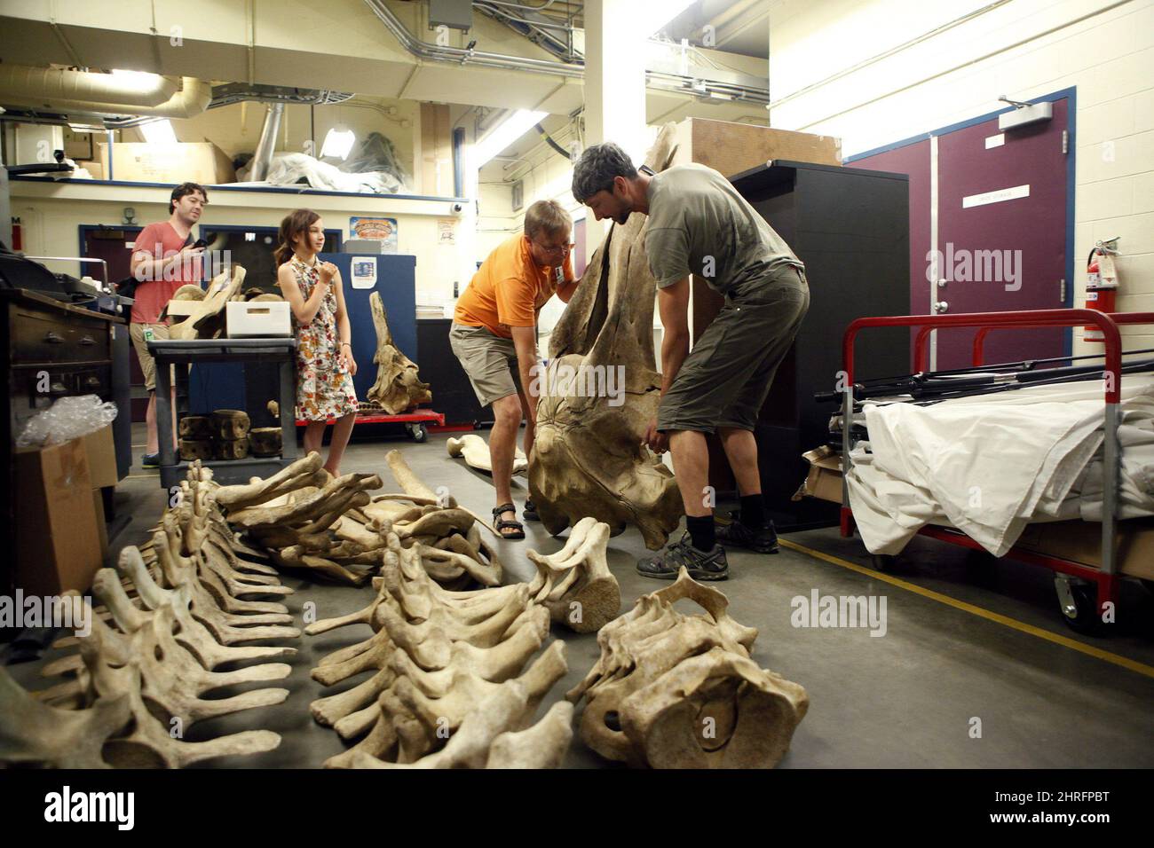 Curator Gavin Hanke, left, and Cetacea Contracting owner Mike deRoos ...