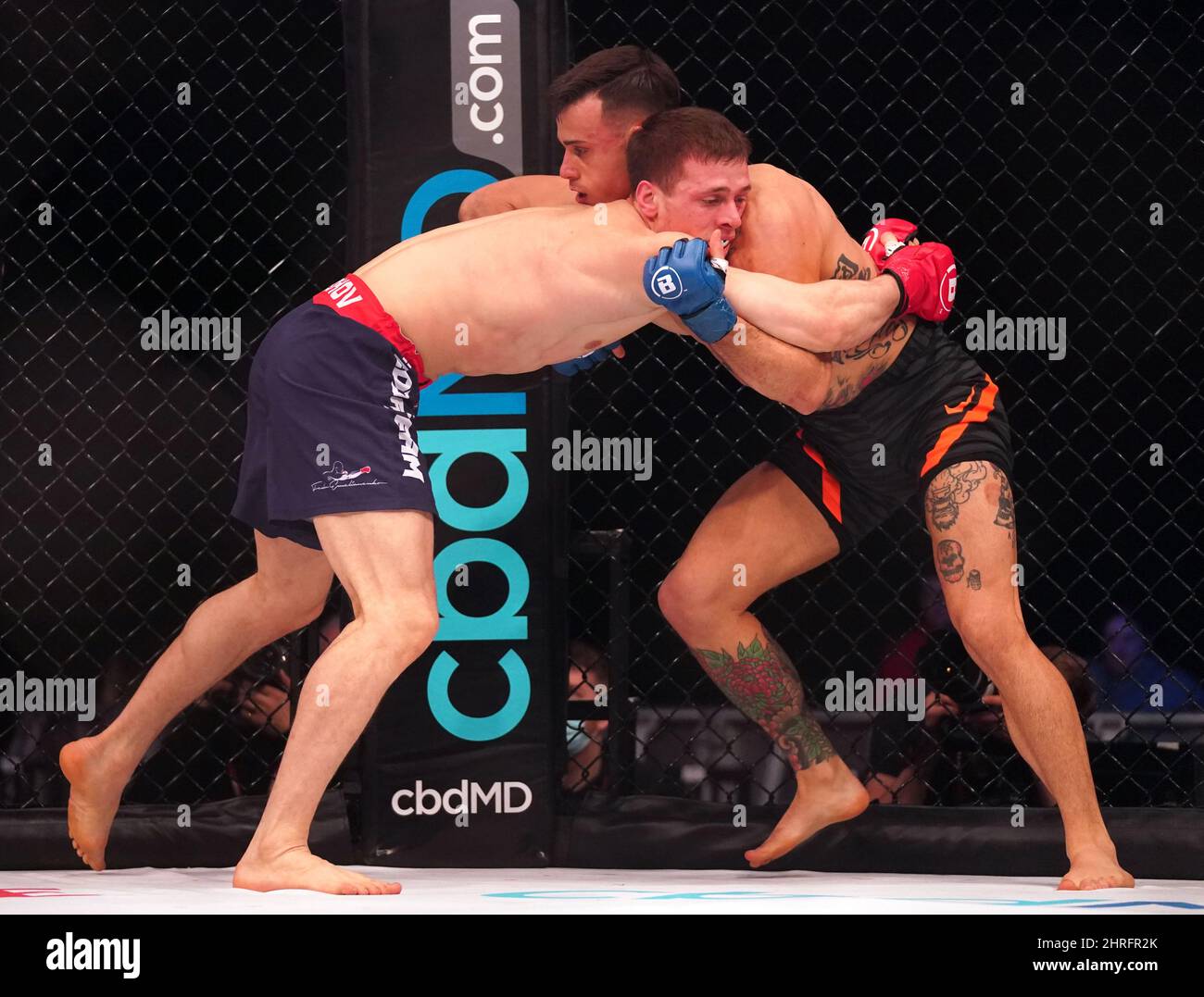 Tokov hi-res stock photography and images - Alamy