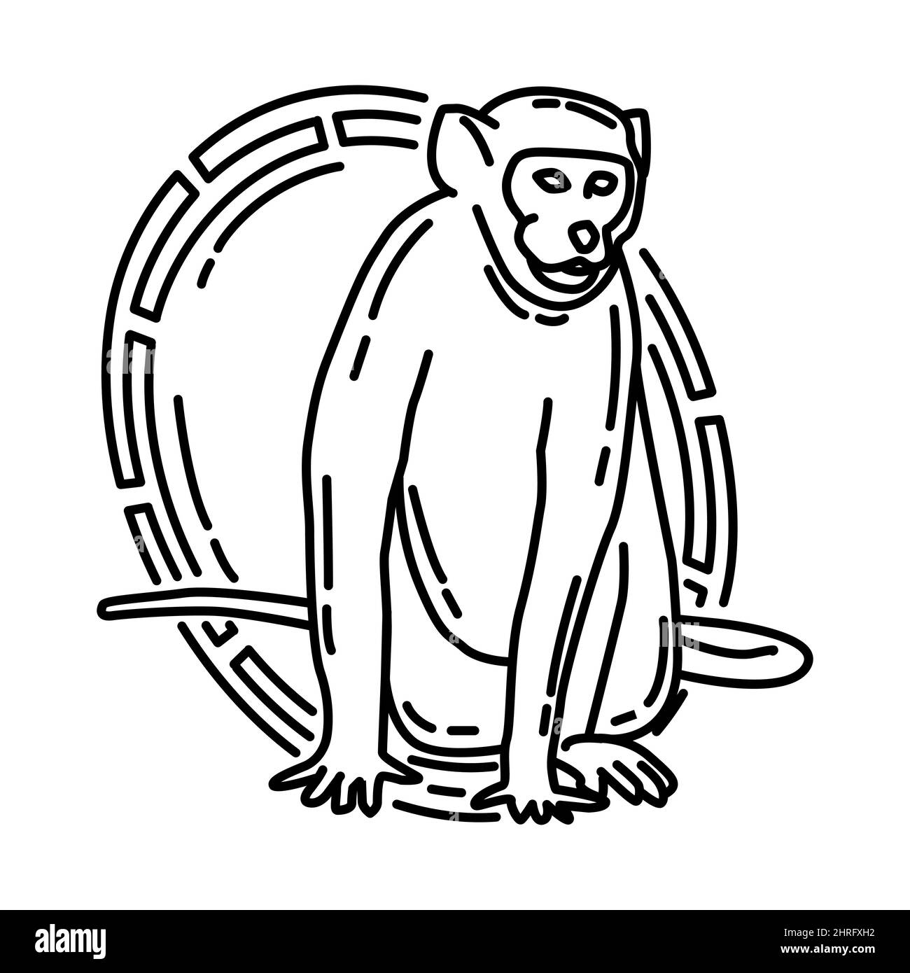 Monkey Feng Shui Symbols Part of Chinese New Year Accessories and Feng ...
