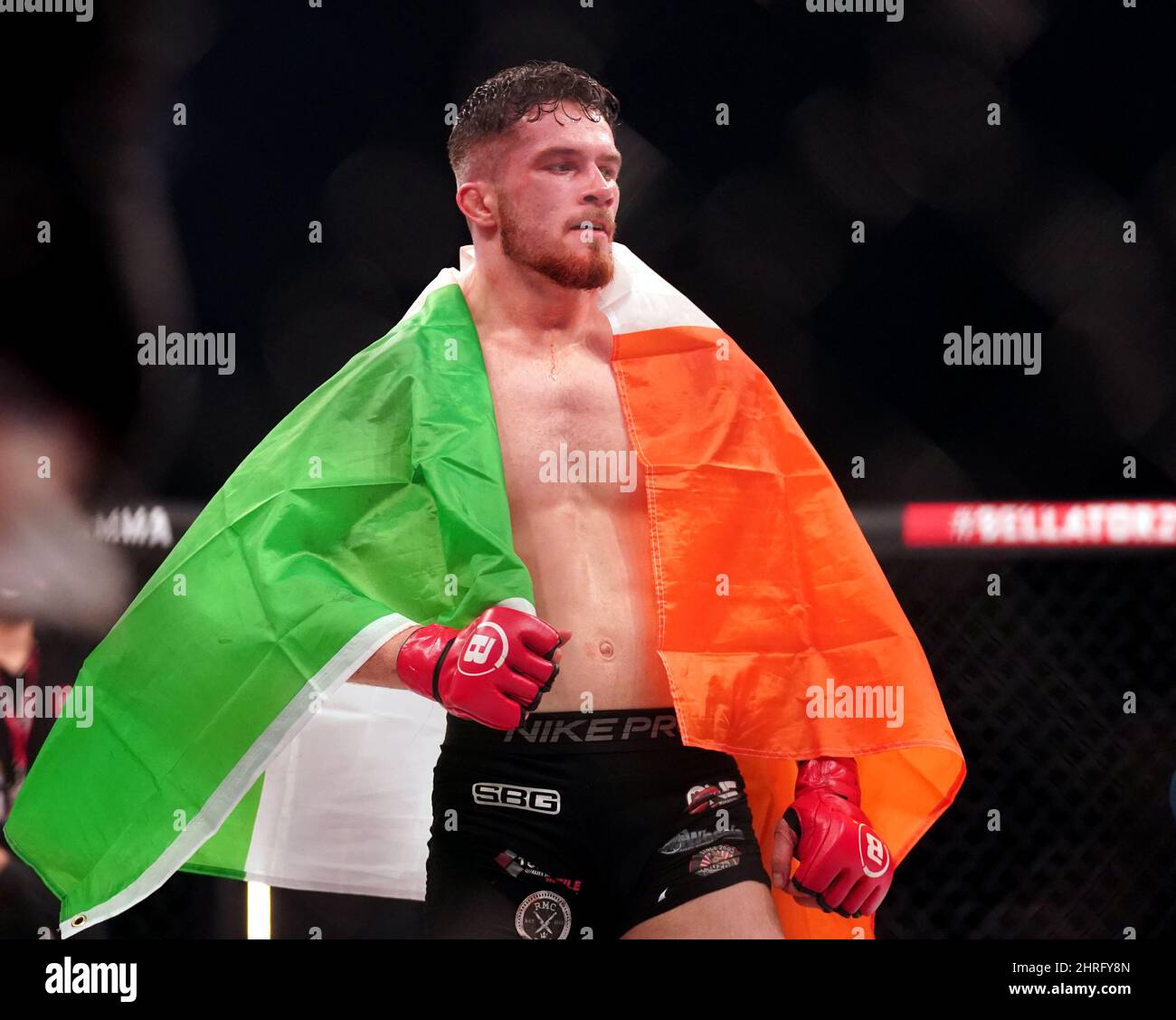 Nathan Kelly celebrates beating Scott Pedersen after their Lightweight ...