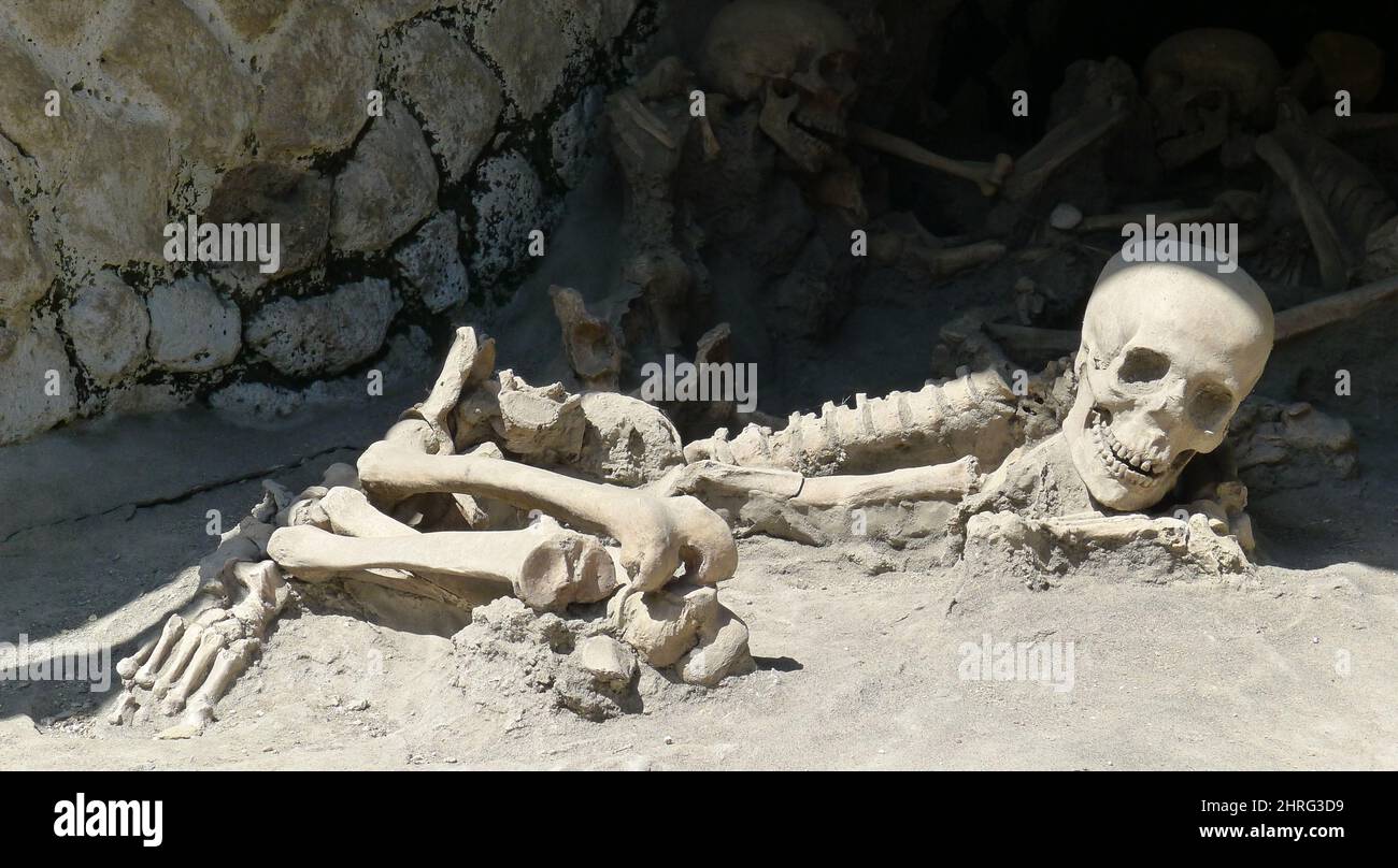 Excavation site with human bones and skull in the dust with more bones ...