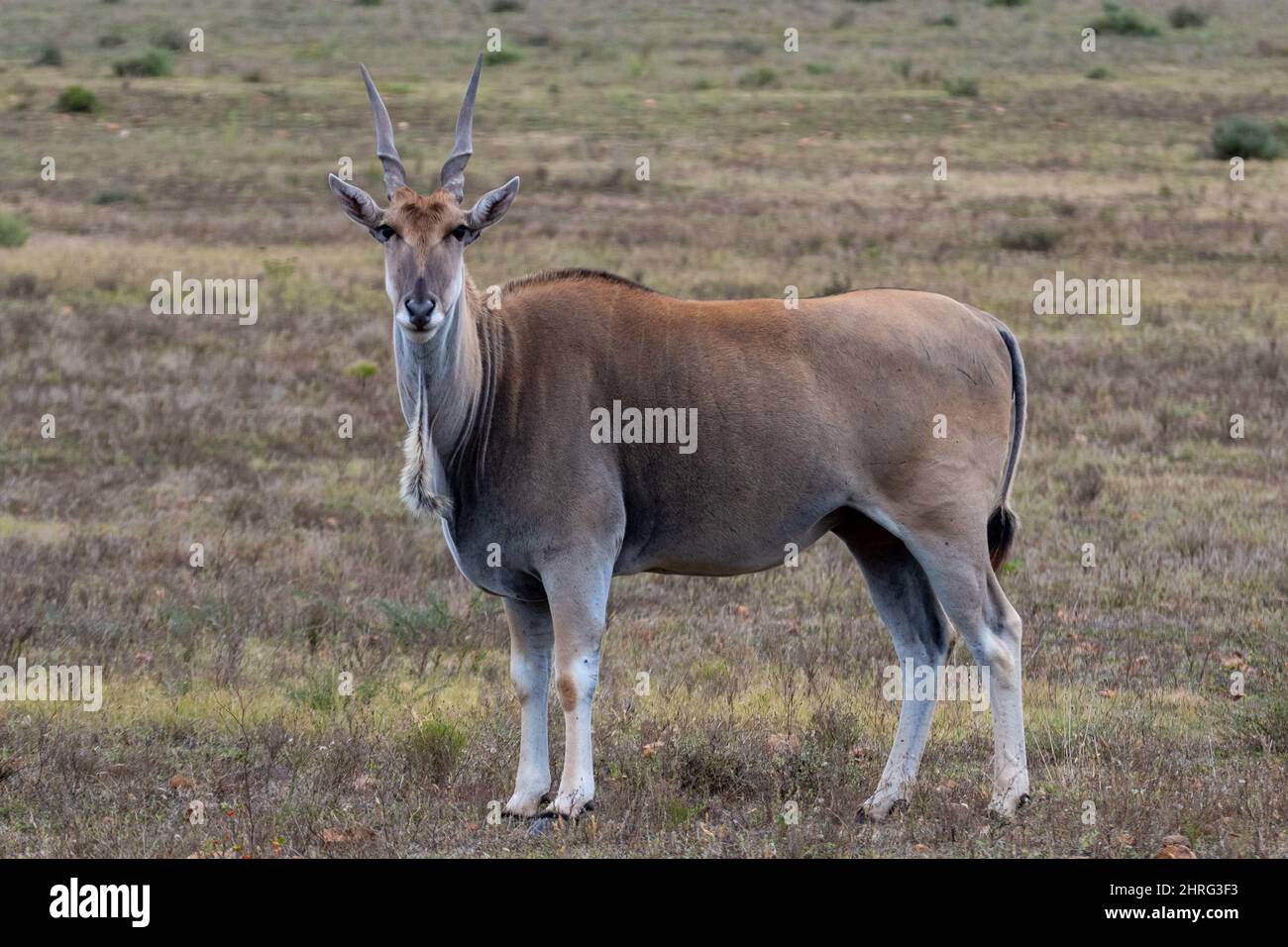 Antelope point hi-res stock photography and images - Alamy