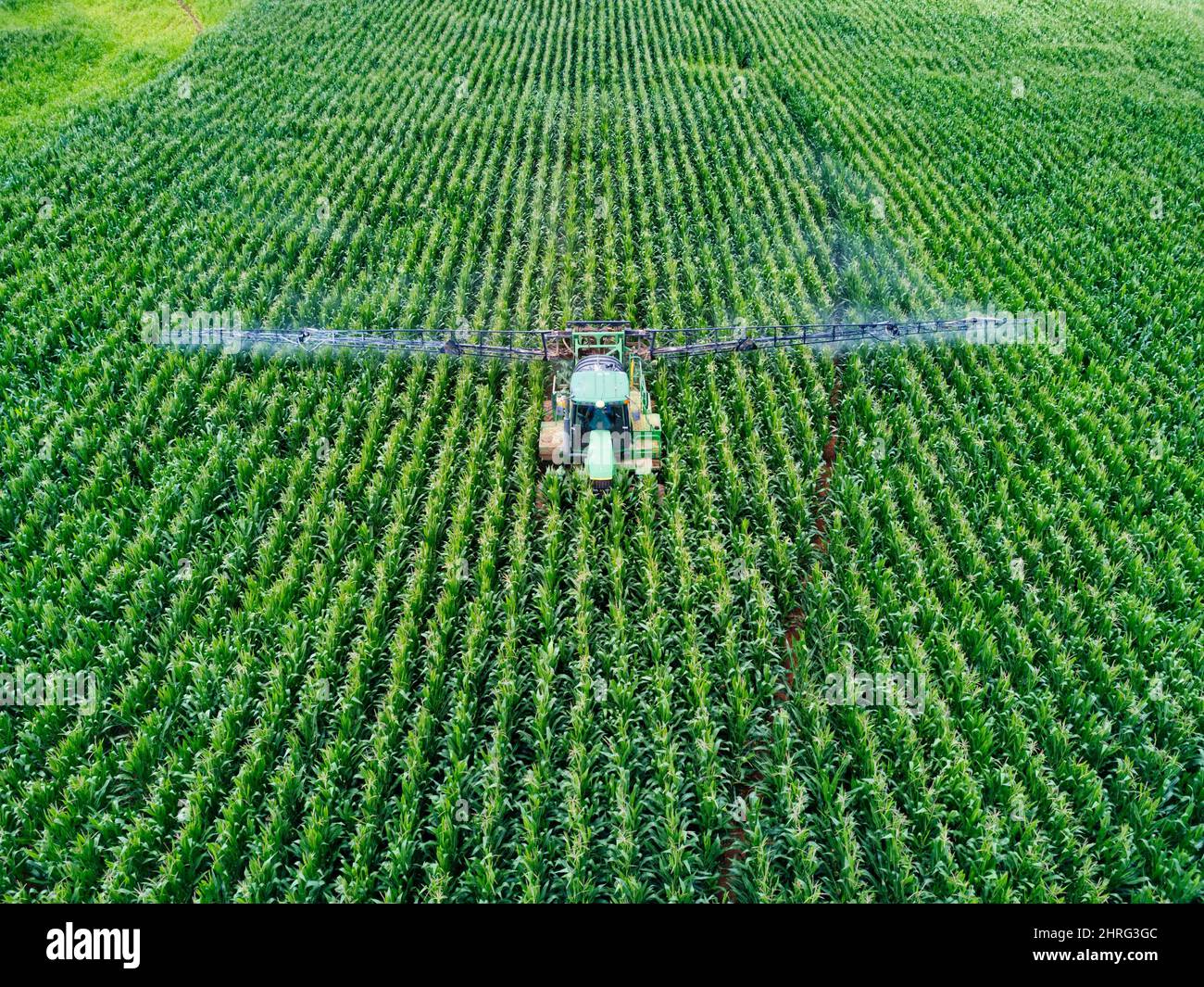 Process of Fumigation of corn with high machinery Stock Photo - Alamy