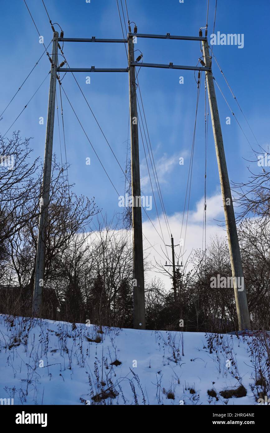 Vertical shot of a sky power lines with trees in the background Stock ...