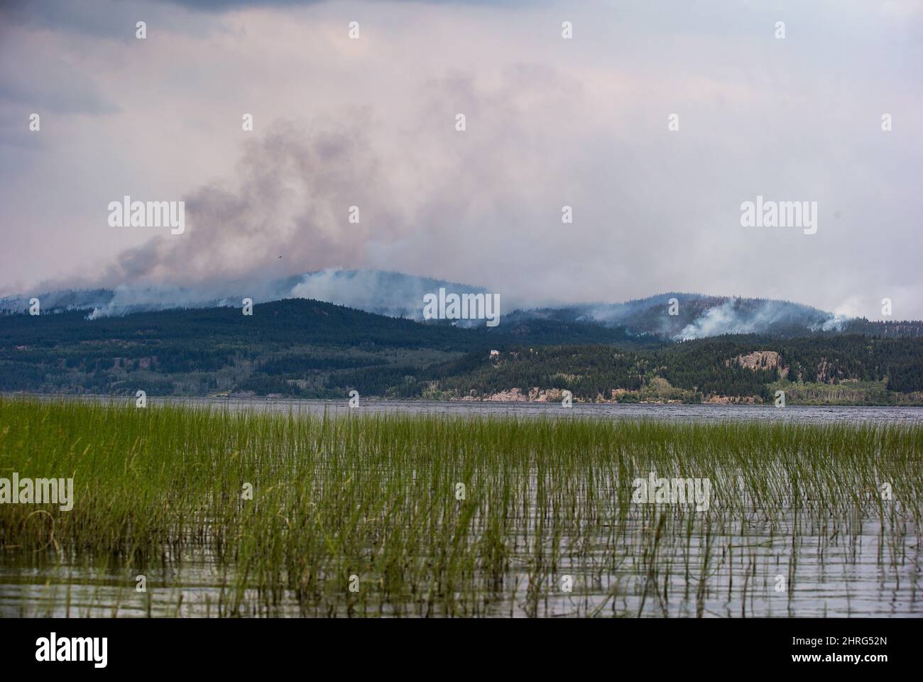 The Shovel Lake wildfire burns on a mountain above Fraser Lake near ...