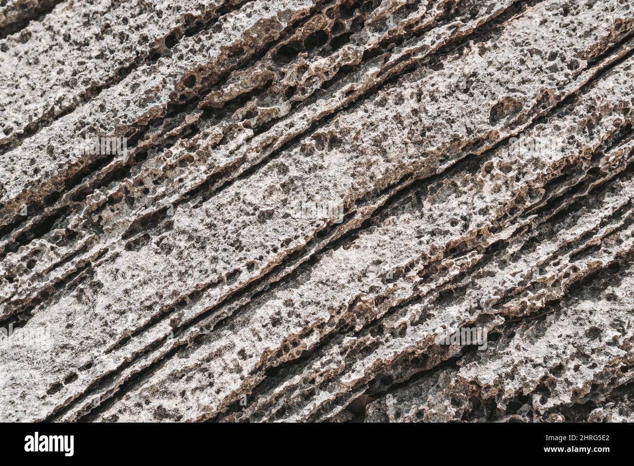 Light-color rock texture for background, taken in Bermuda Stock Photo ...