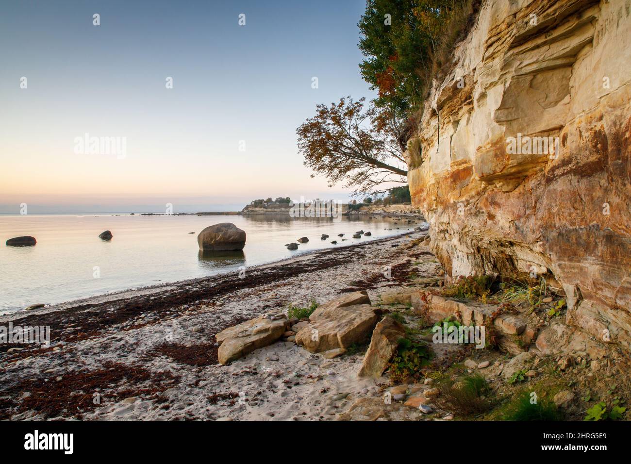 Scenic sunset colored seacoast with limestone cliff in northern Estonia ...