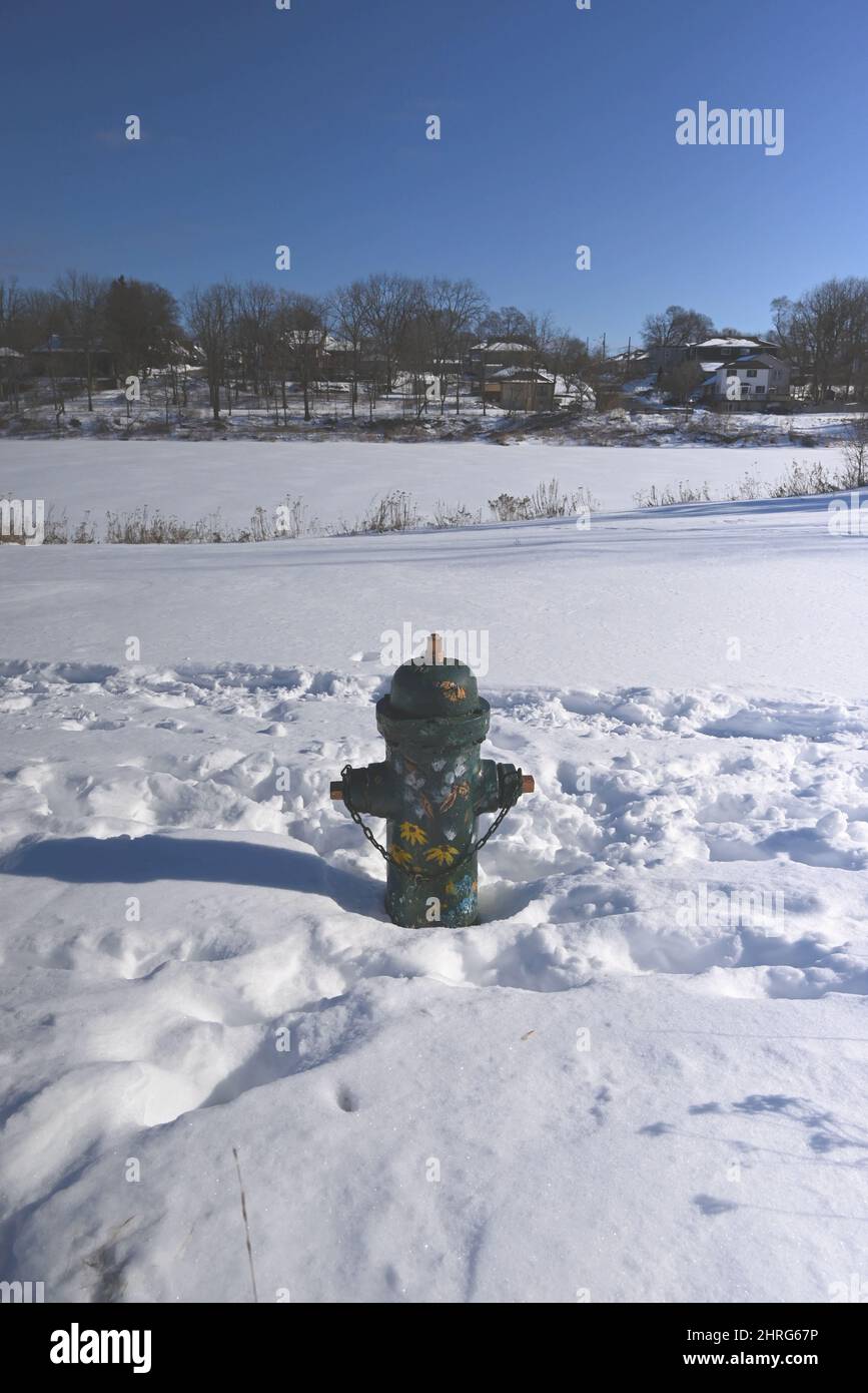 Vertical shot of a fire hydrant on snow in winter with the town of ...