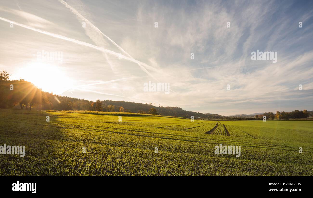 Beautiful view fresh green hi-res stock photography and images - Alamy