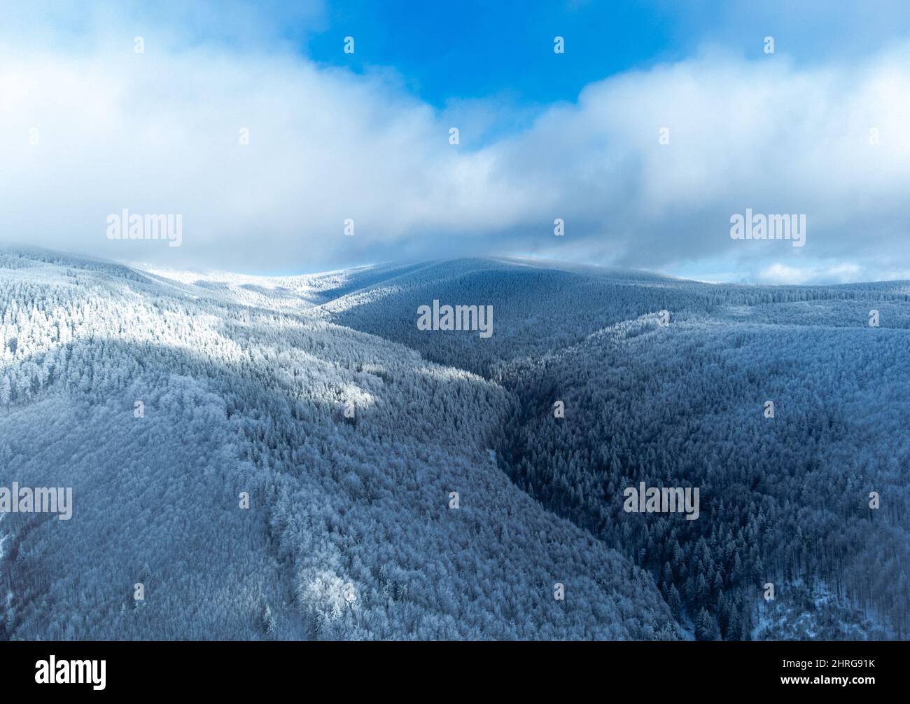 Calimani hi-res stock photography and images - Alamy